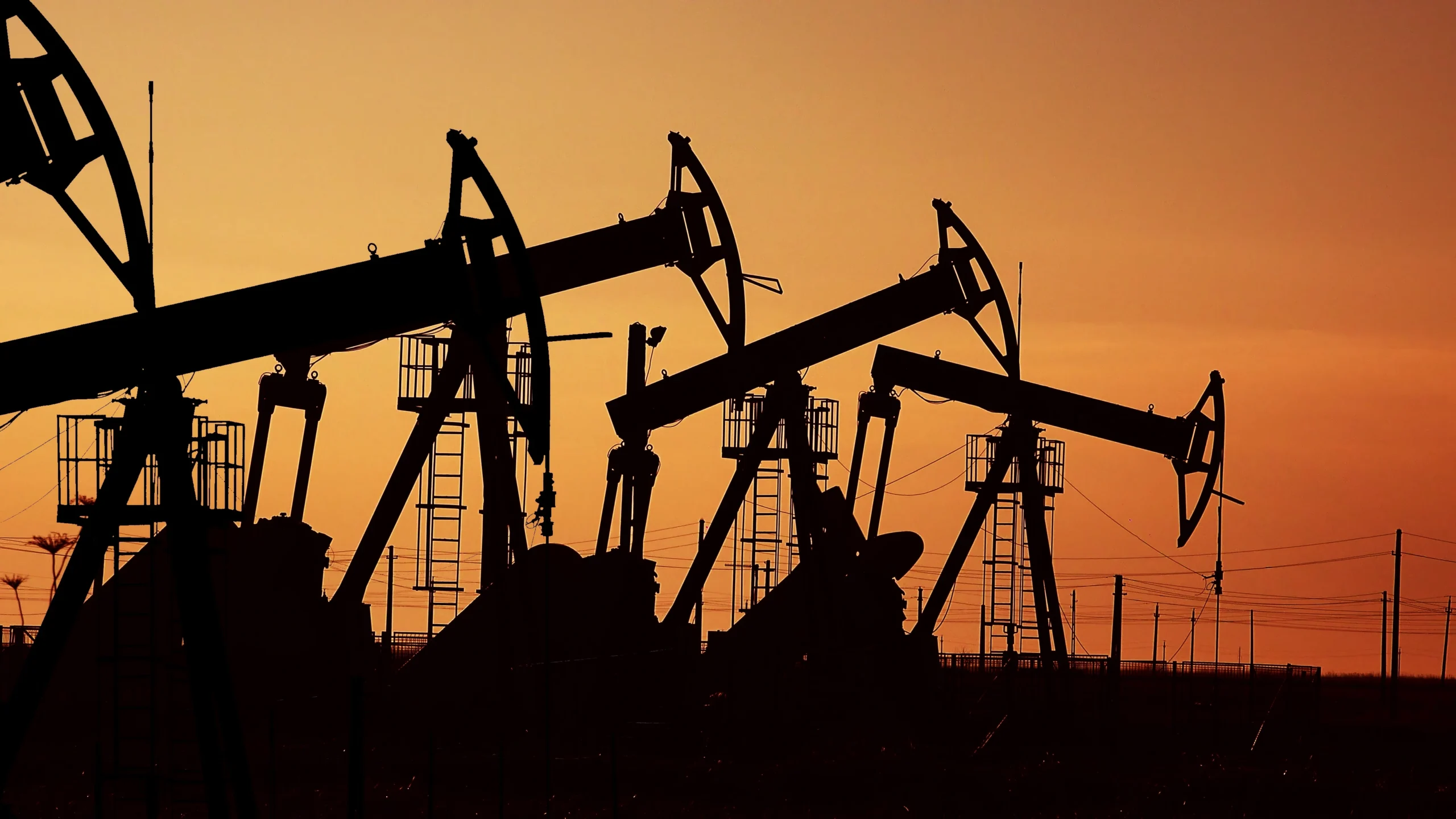 Oil exploration - nest trading